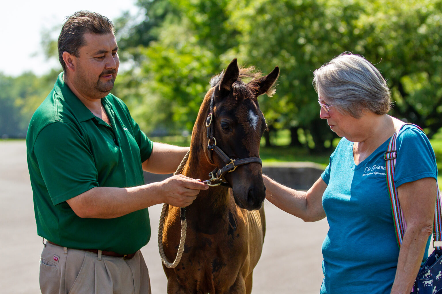 About us - Light Up Racing
