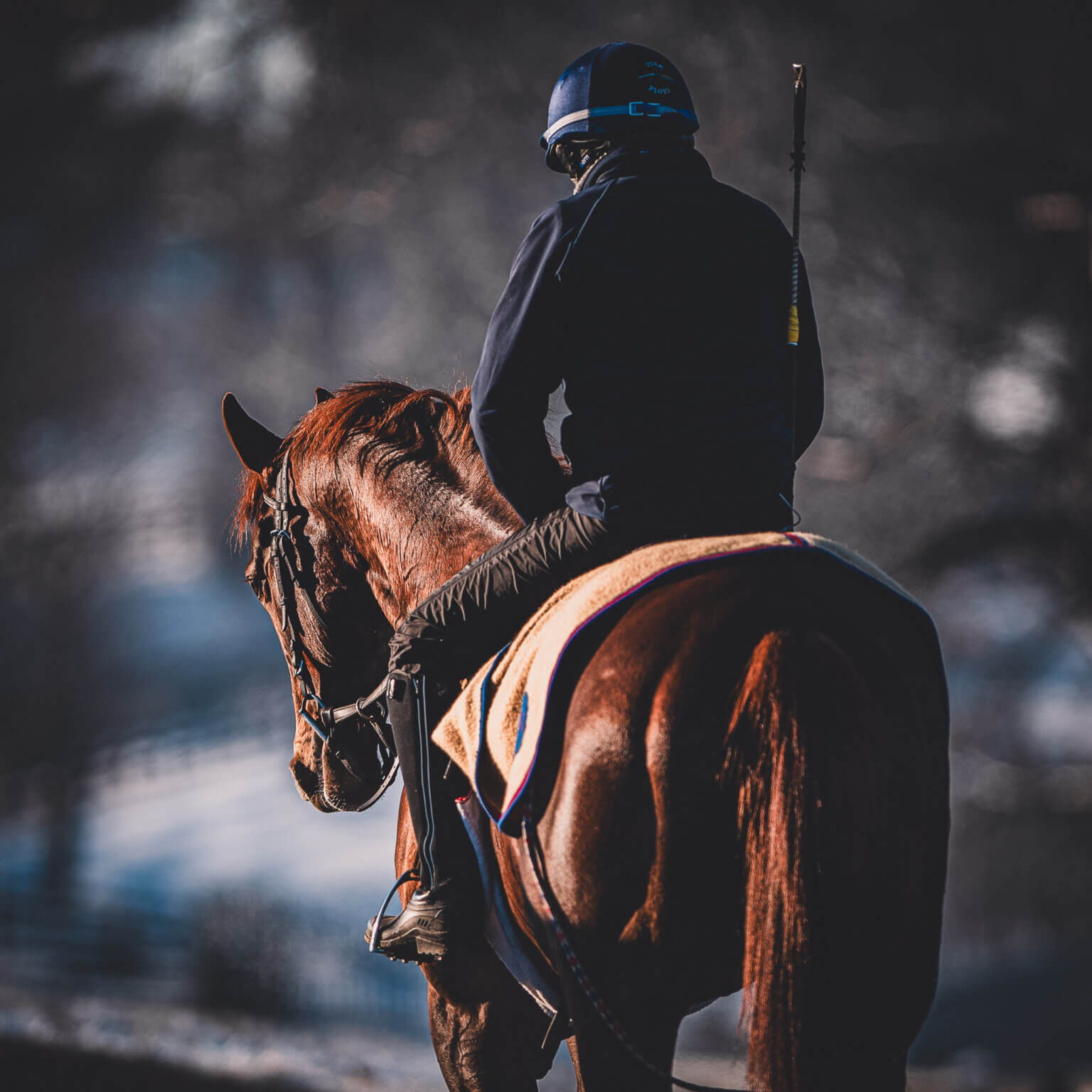 Light Up Racing - Light Up Racing