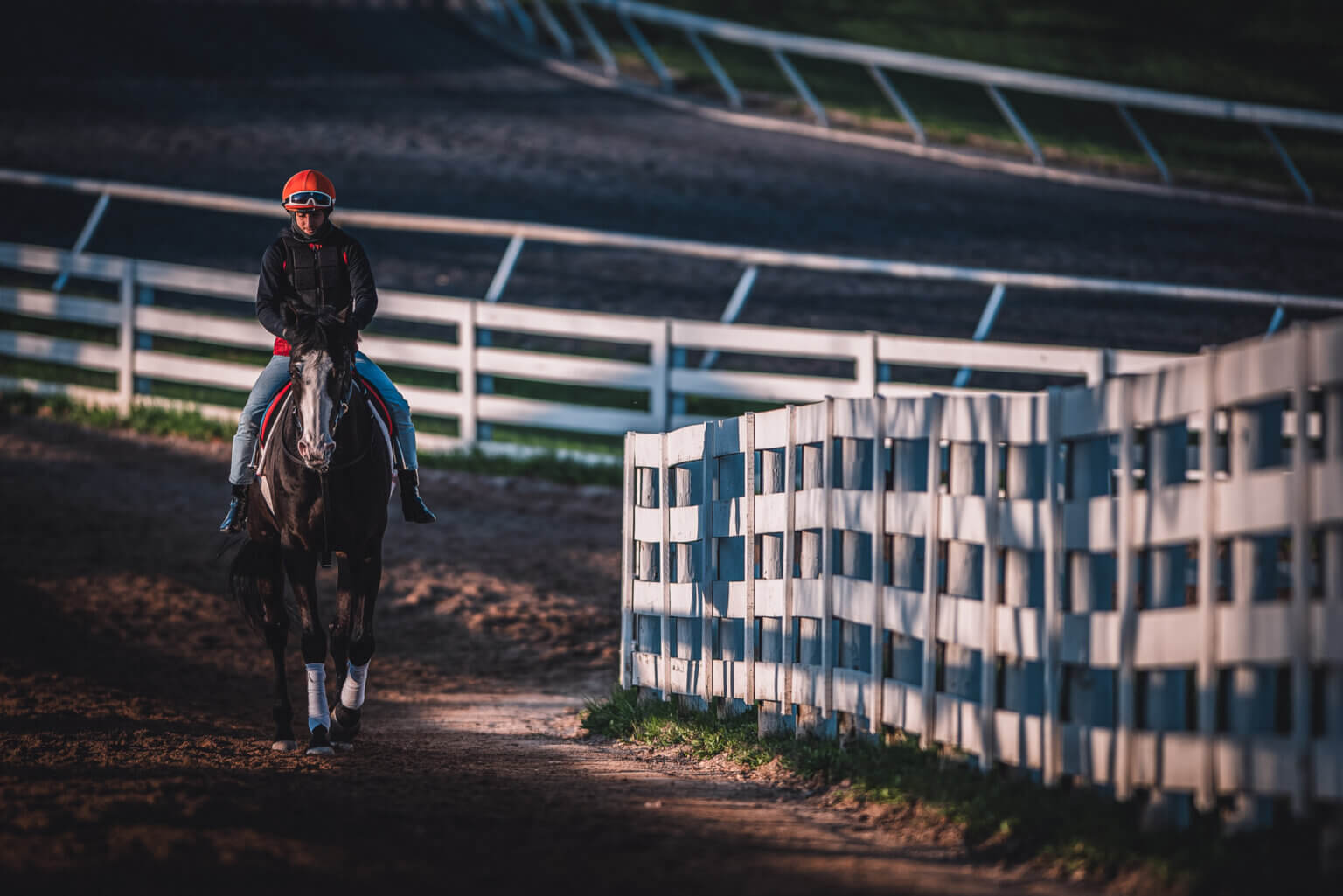 Light Up Racing - Light Up Racing